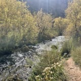 Jones Hole Trail, Utah - 276 Reviews, Map | AllTrails