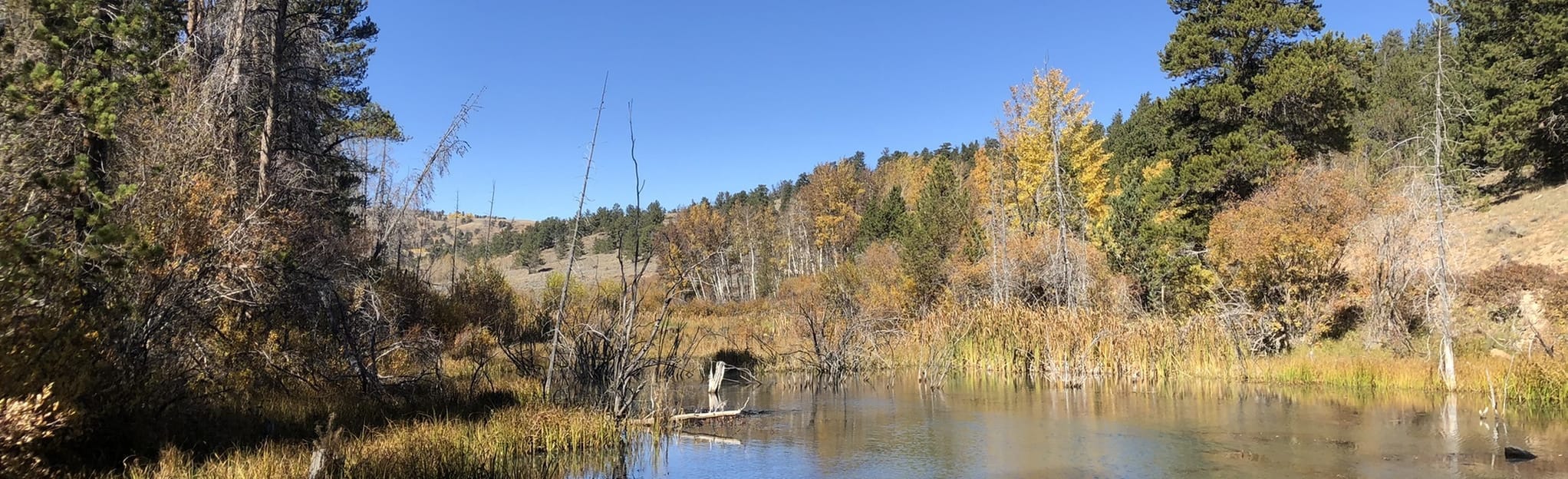 Aspen, Middle Aspen, & Pole Creek Loop Trails: 192 Reviews, Map ...