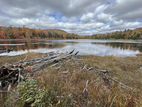 2023 Best Camping Trails in Five Ponds Wilderness | AllTrails