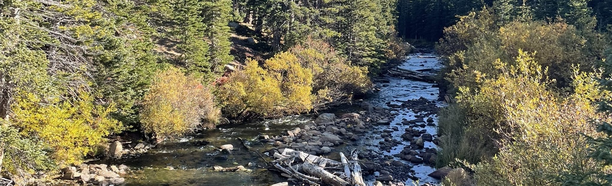 Waldrop North Trail from Gateway Trailhead: 769 Reviews, Map - Colorado ...