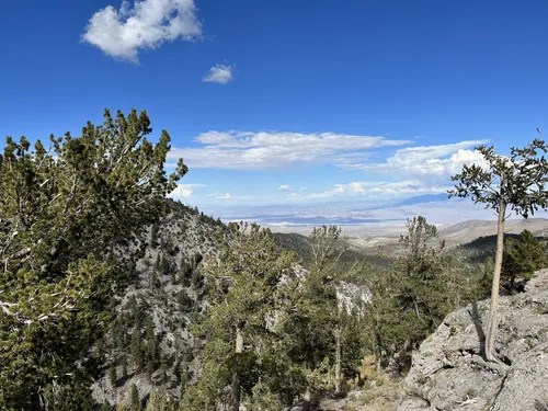 10 Best Hikes and Trails in Spring Mountains National Recreation Area ...