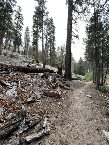 Best Kid Friendly Trails in Olancha | AllTrails