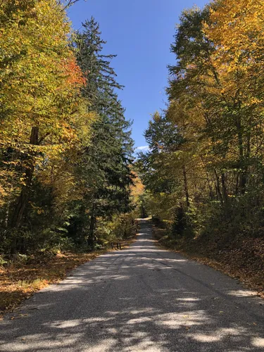 10 Best Easy Trails in Pachaug State Forest | AllTrails