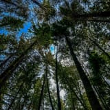 Cyrus Gates Overlook to Lost Lake Trail via Ridge Trail, Washington ...