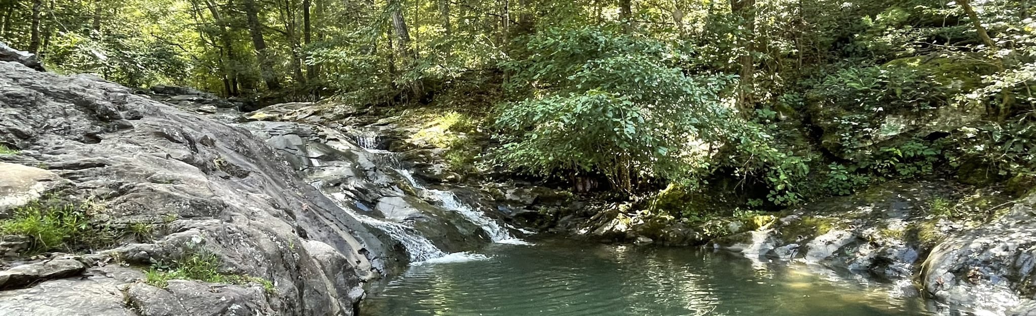 Overall Run Falls via Thompson Hollow, Virginia - 570 Reviews, Map ...