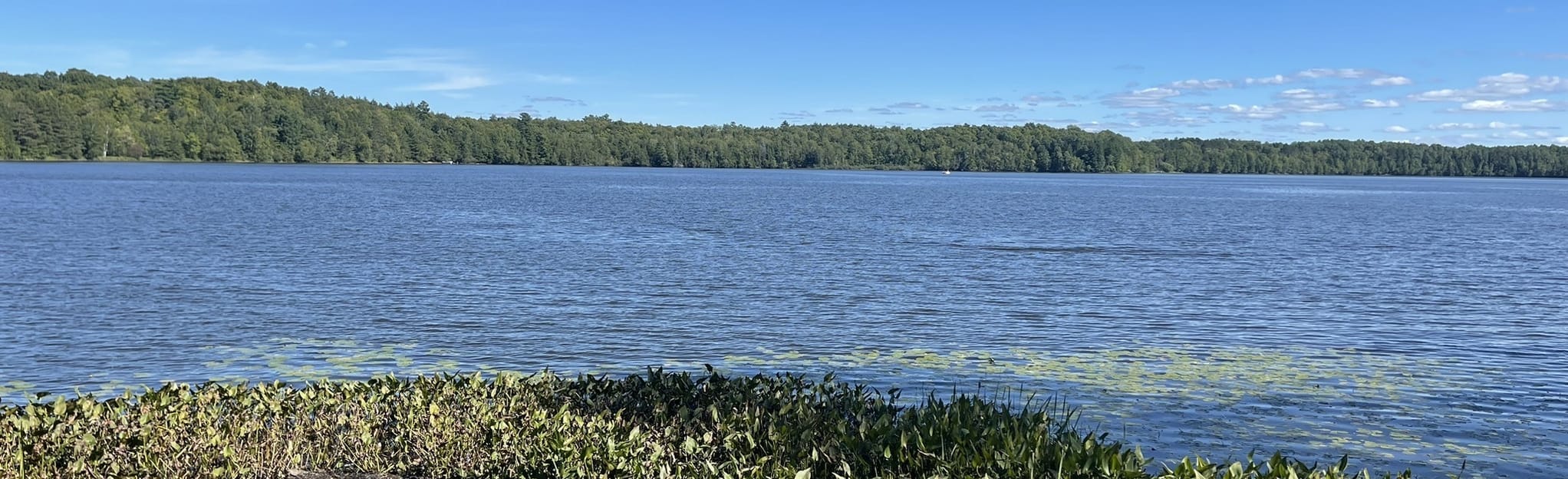 Round Lake Trail: 24 Reviews, Map - Wisconsin | AllTrails