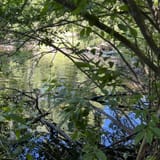 Spring Hill Yellow and Blue Loop Trail, Massachusetts - 236 Reviews ...