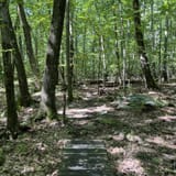 Spring Hill Yellow and Blue Loop Trail, Massachusetts - 236 Reviews ...
