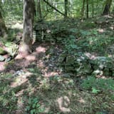 Spring Hill Yellow and Blue Loop Trail, Massachusetts - 251 Reviews ...