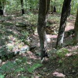 Spring Hill Yellow and Blue Loop Trail, Massachusetts - 251 Reviews ...