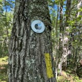 Spring Hill Yellow and Blue Loop Trail, Massachusetts - 236 Reviews ...