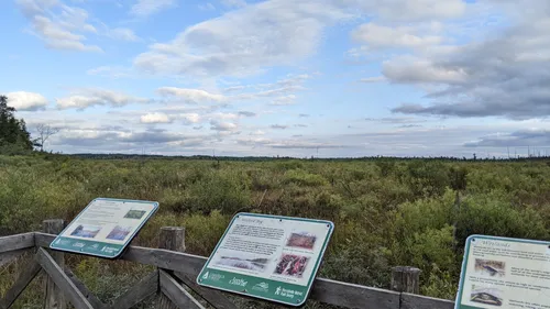 Best Hikes and Trails in Limerick Forest North | AllTrails