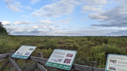 Best Hikes and Trails in Limerick Forest North | AllTrails