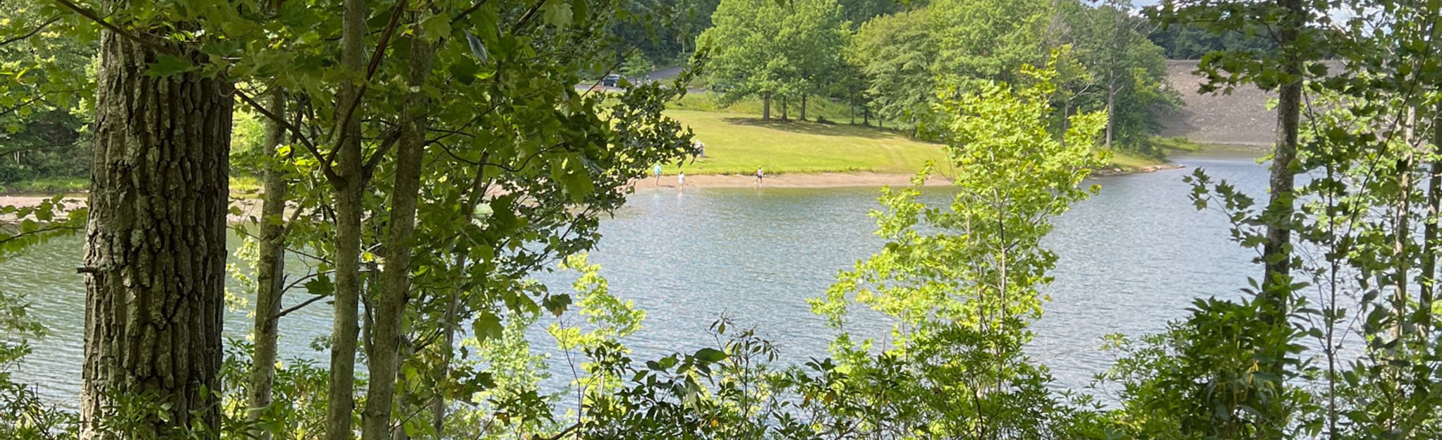 Aylesworth Creek Lake Loop : 45 photos - Pennsylvanie | AllTrails