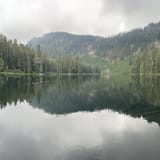 Cora Lake Trail, Washington - 232 Reviews, Map | AllTrails