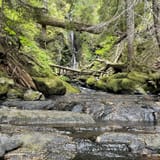 Cora Lake Trail, Washington - 232 Reviews, Map | AllTrails