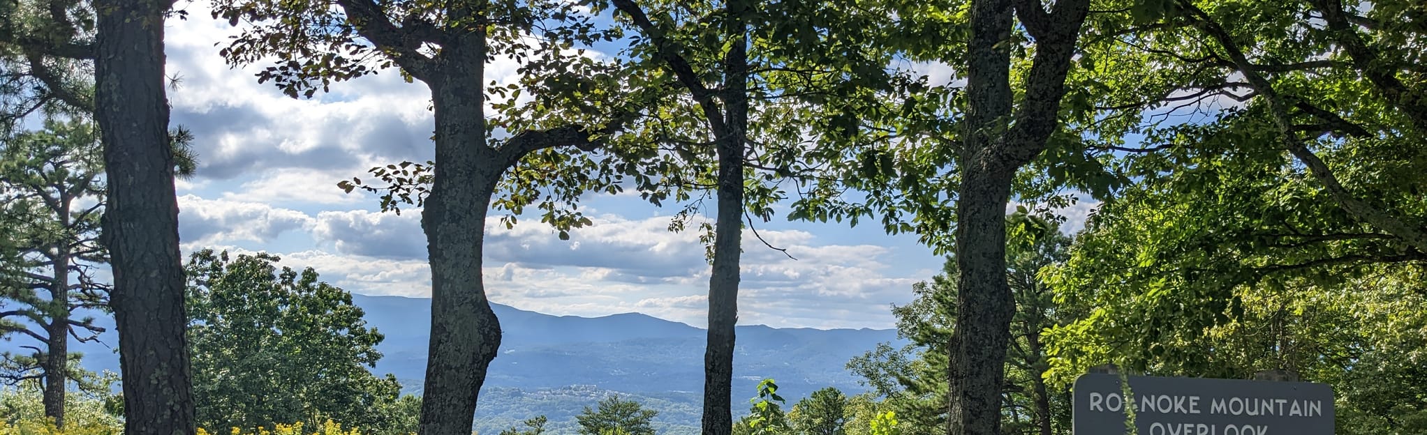 Roanoke Mountain: 47 Reviews, Map - Virginia | AllTrails