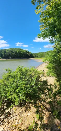 10 Best Trails and Hikes in Springfield | AllTrails