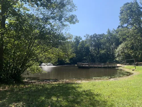 Best Hikes and Trails in Squirrel Lake Park | AllTrails