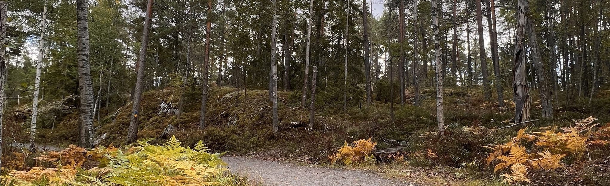 Hellasgården Gul – Ulvsjöslingan bucle circular, 2 Fotos - Stockholm ...