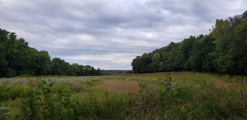 Best Hikes and Trails in Warbler Ridge Conservation Area | AllTrails