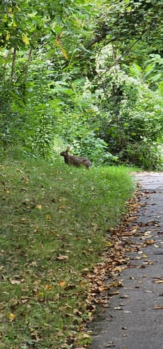 Best Hikes and Trails in Prairie Wolf Park | AllTrails