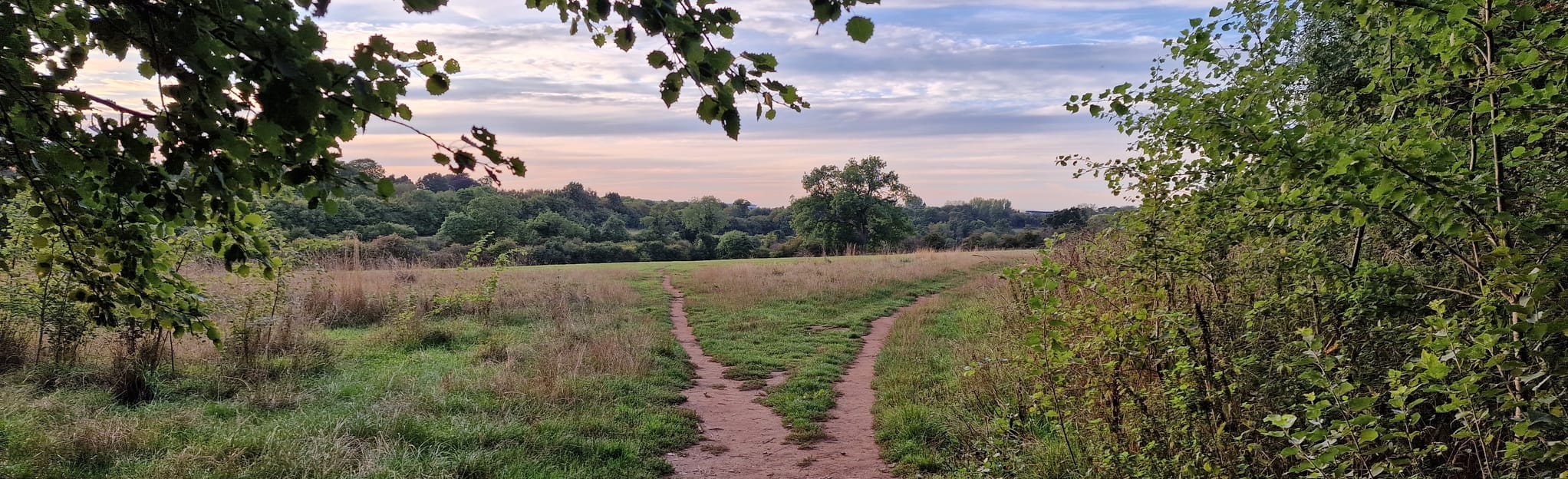 Coundon Wedge Circular: 171 Reviews, Map - West Midlands, England ...