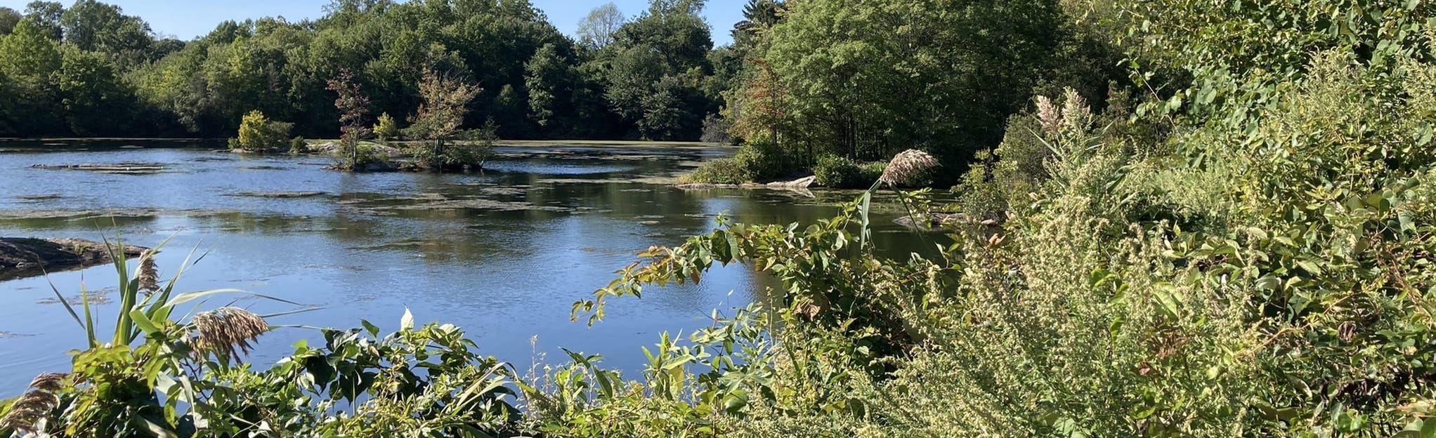 Mondo Pond Loop, Connecticut - 85 Reviews, Map | AllTrails