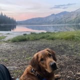 Box Lake Trail, Idaho - 253 Reviews, Map | AllTrails