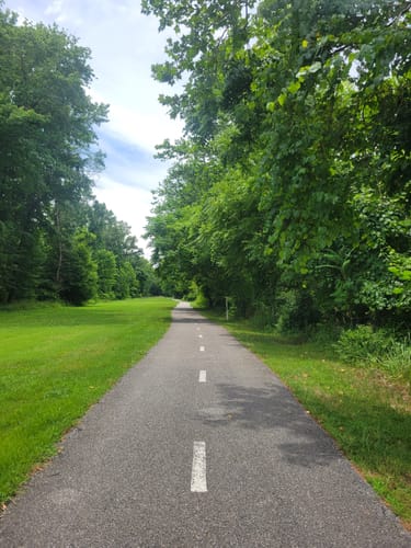 Best Hikes and Trails in Henson Creek Park | AllTrails