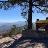 Figueroa Mountain, California - 266 Reviews, Map | AllTrails