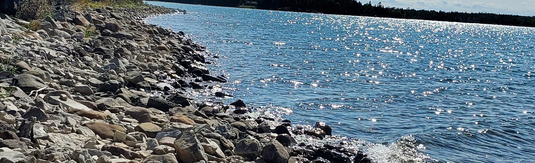 Heritage Trail Blue Loop, Michigan - 21 Reviews, Map | AllTrails