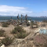 Albany Bulb, California - 348 Reviews, Map | AllTrails