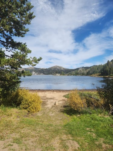 2023 Best Camping Trails in Mount Rose Wilderness | AllTrails