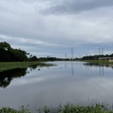 Largo Nature Preserve Loop, Florida - 402 Reviews, Map | AllTrails