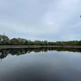 Largo Nature Preserve Loop, Florida - 402 Reviews, Map | AllTrails