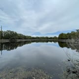 Largo Nature Preserve Loop, Florida - 402 Reviews, Map | AllTrails