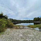 Largo Nature Preserve Loop, Florida - 402 Reviews, Map | AllTrails