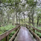Largo Nature Preserve Loop, Florida - 402 Reviews, Map | AllTrails
