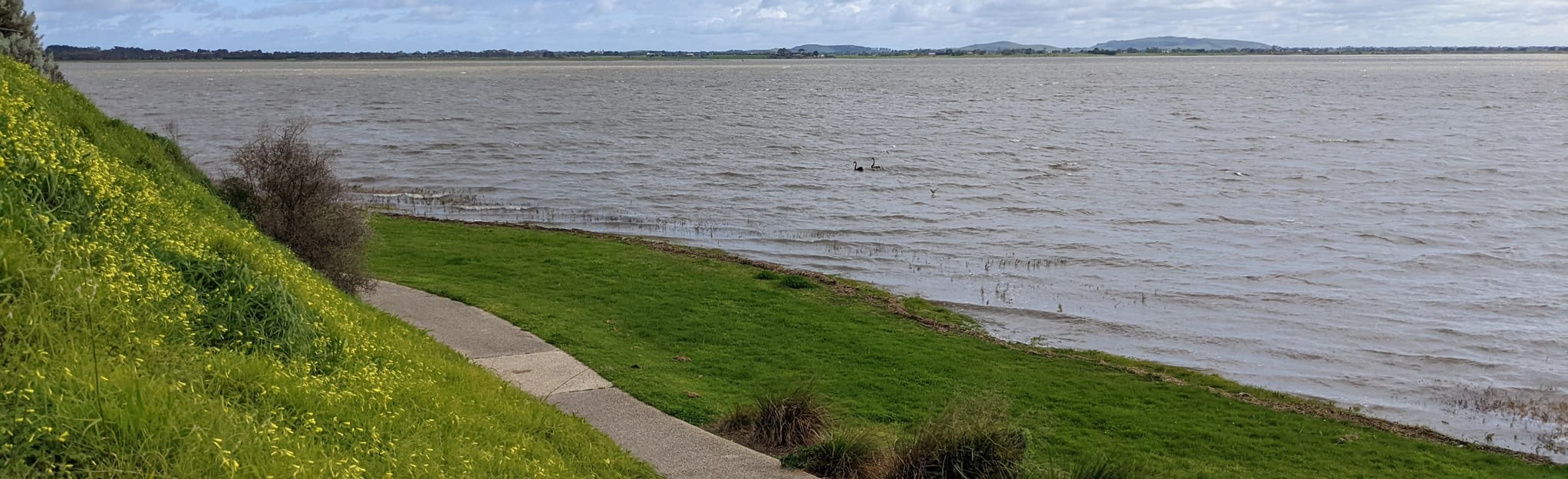 Colac River and Lake Trail: 14 Reviews, Map - Victoria, Australia ...