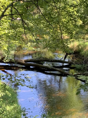 2023 Best 10 Trails and Hikes in Long Valley | AllTrails