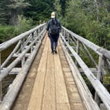 Timothy Lake Loop, Oregon - 290 Reviews, Map | AllTrails