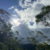 Manana Ridge Trail to Ko'olau Summit, Oahu, Hawaii - 172 Reviews, Map ...