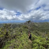 Manana Ridge Trail to Ko'olau Summit, Oahu, Hawaii - 172 Reviews, Map ...