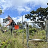 Manana Ridge Trail to Ko'olau Summit, Oahu, Hawaii - 172 Reviews, Map ...