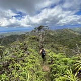 Manana Ridge Trail to Ko'olau Summit, Oahu, Hawaii - 172 Reviews, Map ...