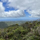 Manana Ridge Trail to Ko'olau Summit, Oahu, Hawaii - 172 Reviews, Map ...