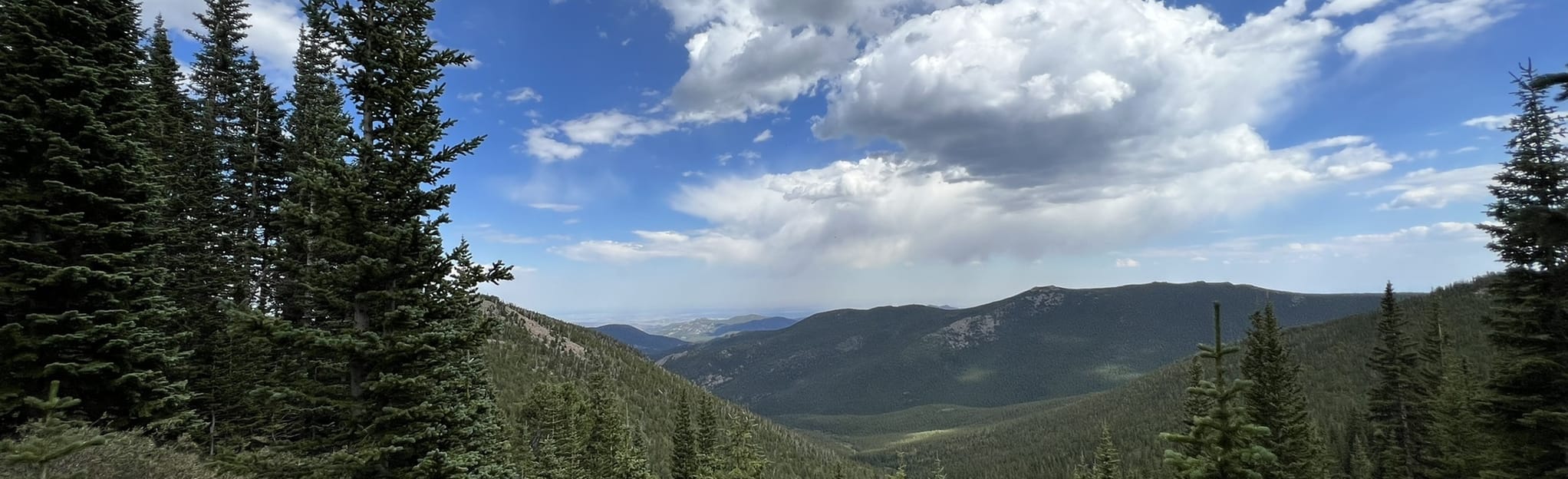 Saint Vrain Mountain Trail: 607 Reviews, Map - Colorado | AllTrails