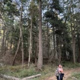 Turtleback Mountain South Trail , Washington - 385 Reviews, Map | AllTrails