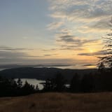 Turtleback Mountain South Trail , Washington - 385 Reviews, Map | AllTrails